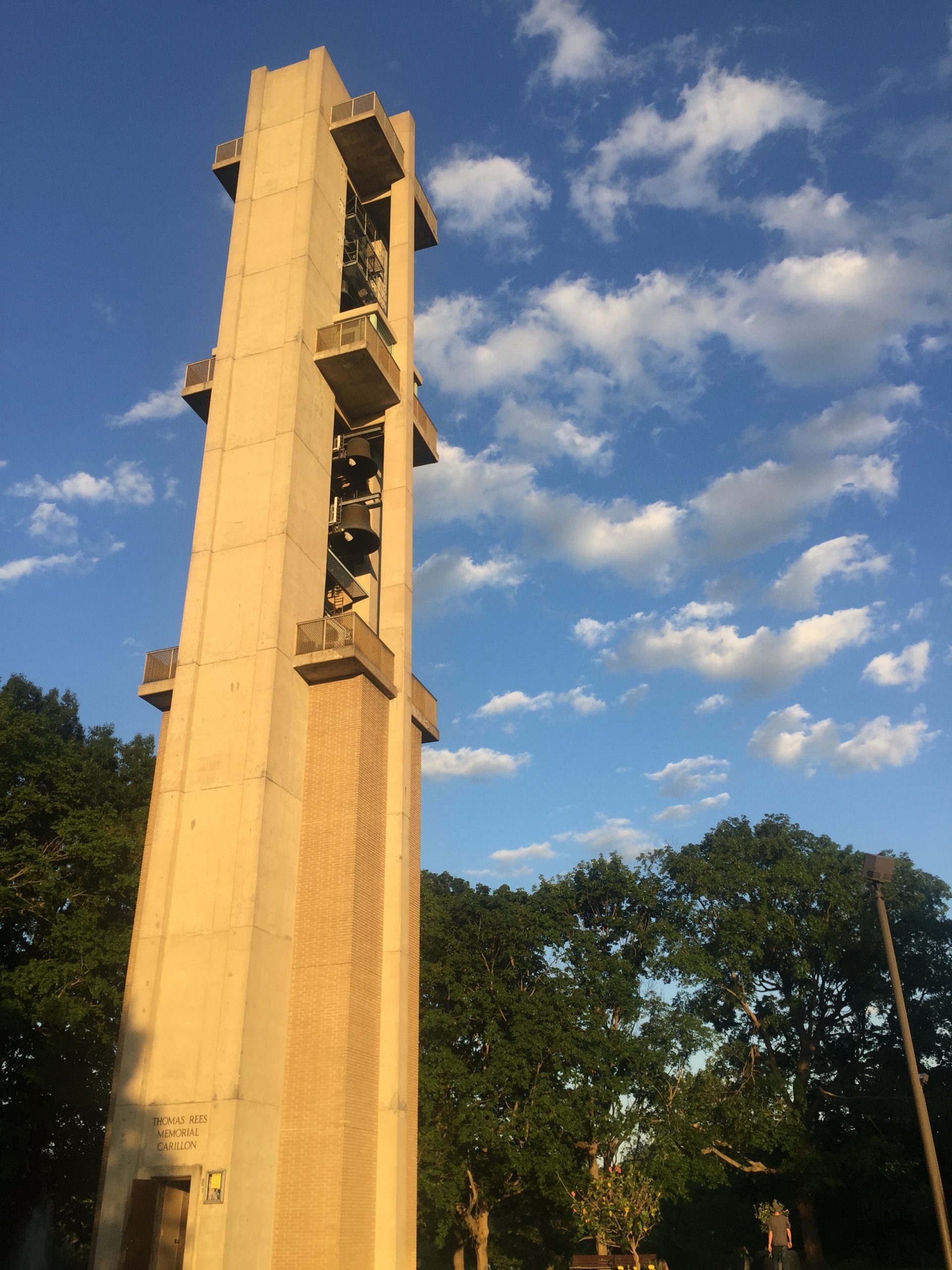 The conspicuous obscurity of the world's largest instrument—the ...