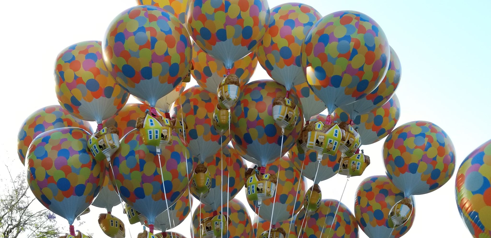 VIDEO: Adorable Up! Balloons Spotted At Disneyland | Chip and Company