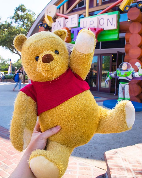 Classic Winnie 2