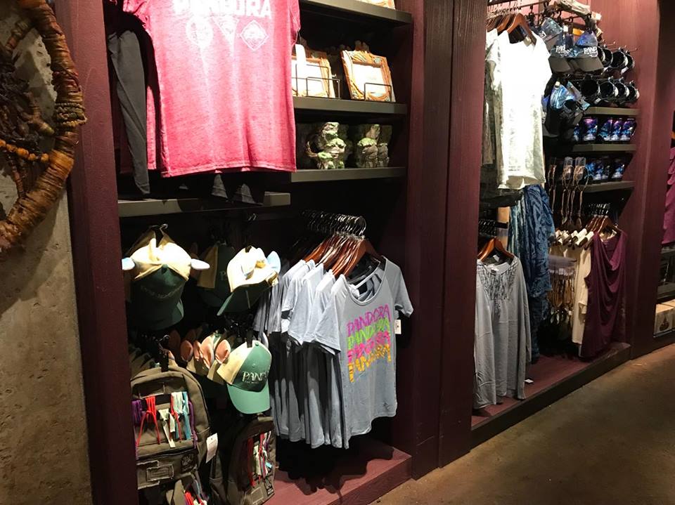 Colorful Pandora Merchandise Offerings at Windtraders | Chip and Company