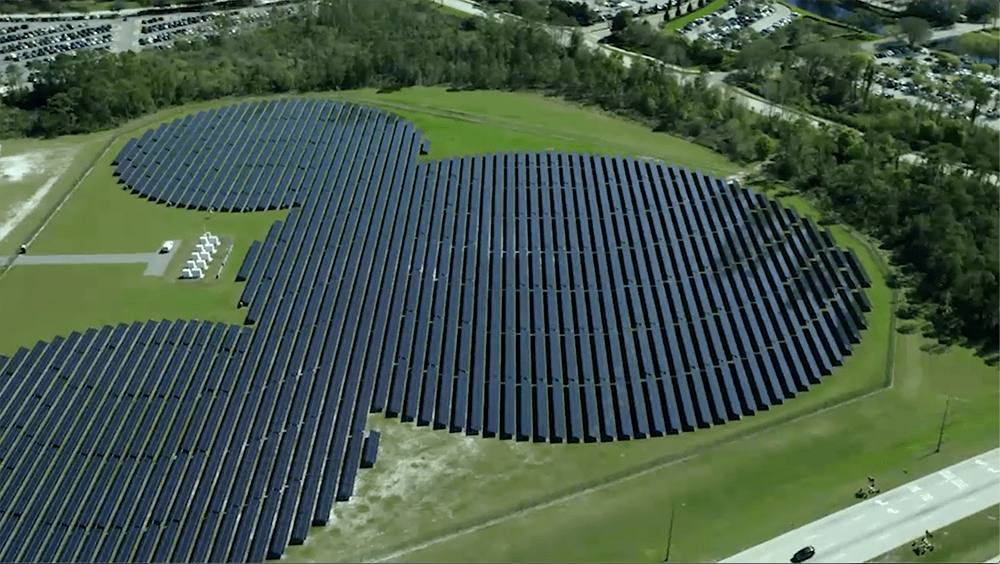 Walt Disney Company Sets Ambitious Environmental goals for 2030 | Chip ...