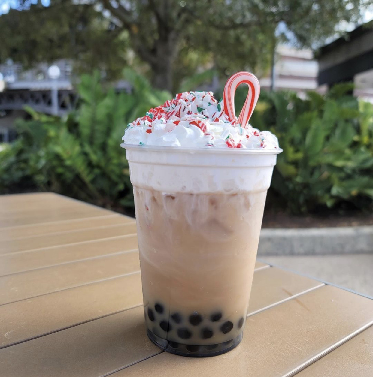 Holiday Peppermint Boba Tea at YeSake in Disney Springs! | Chip and Company