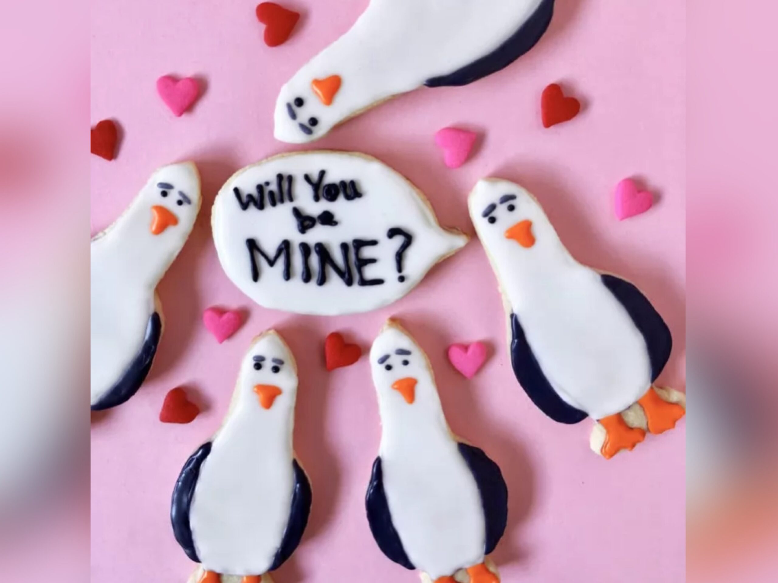 Adorable Finding Nemo "MINE" Seagulls Sugar Cookies For This Valentine ...