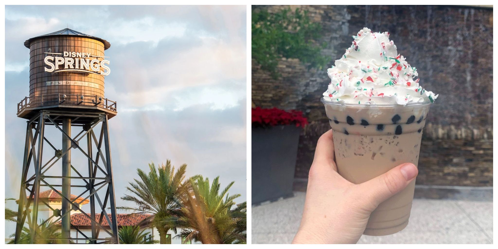 Holiday Peppermint Chocolate Milk Boba Tea in Disney Springs Will Get ...