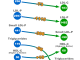 Cholesterol Cheat Sheet
