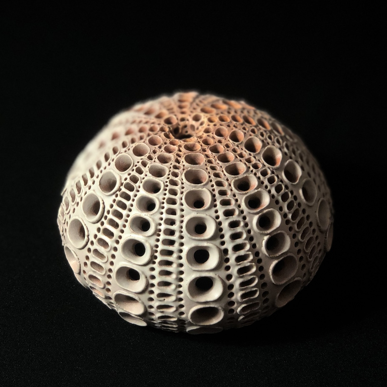 CHRISTOPHER EDWARDS | ARTIST