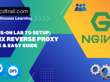 How To Set Up Nginx Reverse Proxy Like A Pro In 10 Minutes Cicdtrail