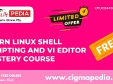 Learn Linux Shell Scripting And Vi Editor Mastery Course Free Udemy