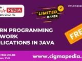Learn Programming Network Applications In Java Free Udemy Course