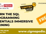 Learn The Sql Programming Essentials Immersive Training Free Udemy