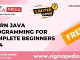 Learn Java Programming For Complete Beginners 2024 Free Udemy Course