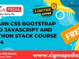 Learn Css Bootstrap And Javascript And Python Stack Course 2024 Free