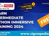 Learn Intermediate Python Immersive Training 2024 Free Udemy Course