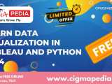 Learn Data Visualization In Tableau And Python 2024 Free Udemy Course