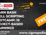 Learn Bash Shell Scripting Bootcamp 10 Project Based Learnings Free