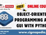 Object Oriented Programming And Gui With Python Free Online Course