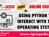 Using Python To Interact With The Operating System Free Online Course
