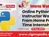 Online Python Instructor Work From Home Part Time Internship By Oberic