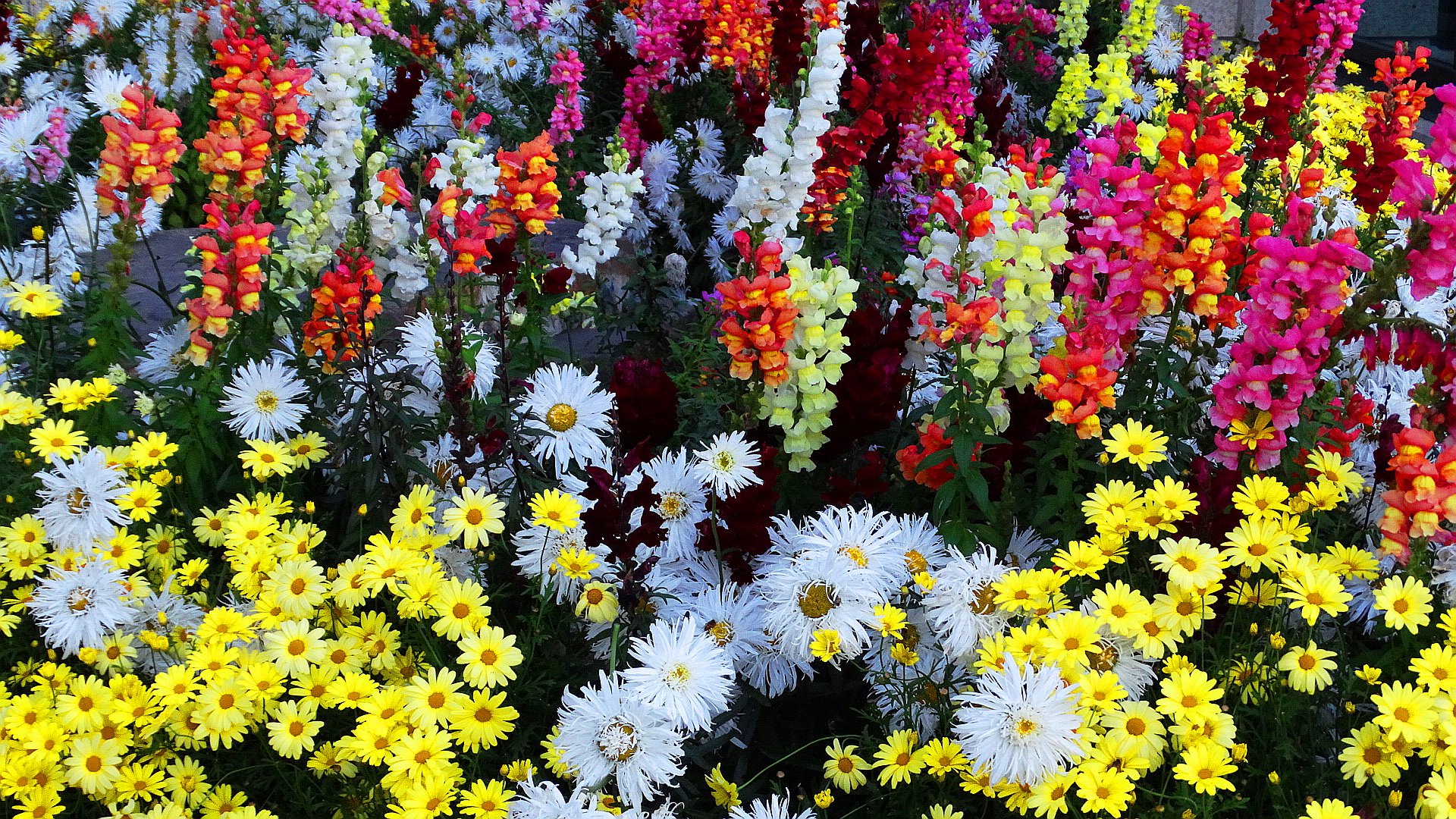 On The Road Again: Alberta and British Columbia Canada! – Cindy Knoke