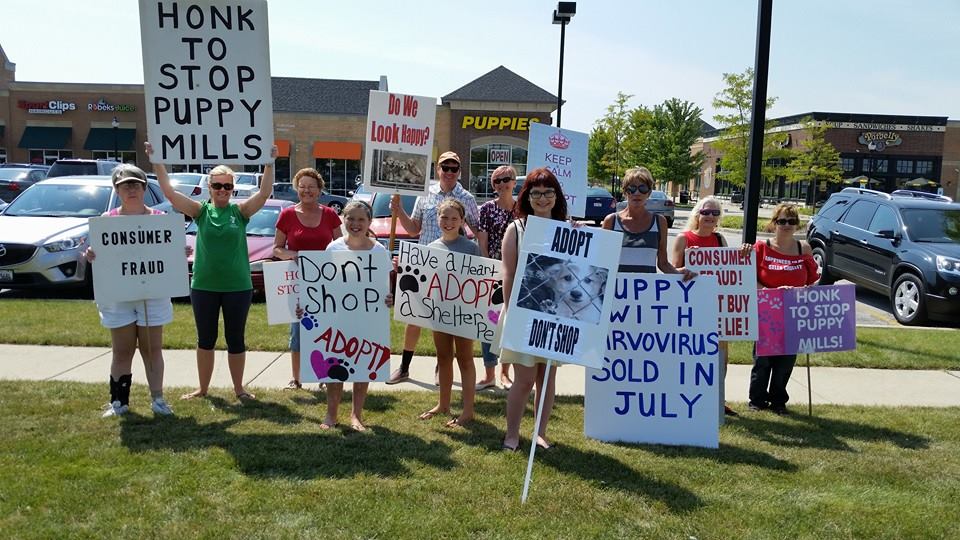 Naperville: Due Diligence Needed on Issue of Retail Pet Sales ...