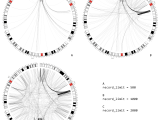 Circos Tutorials Links And Relationships Drawing Basic Links