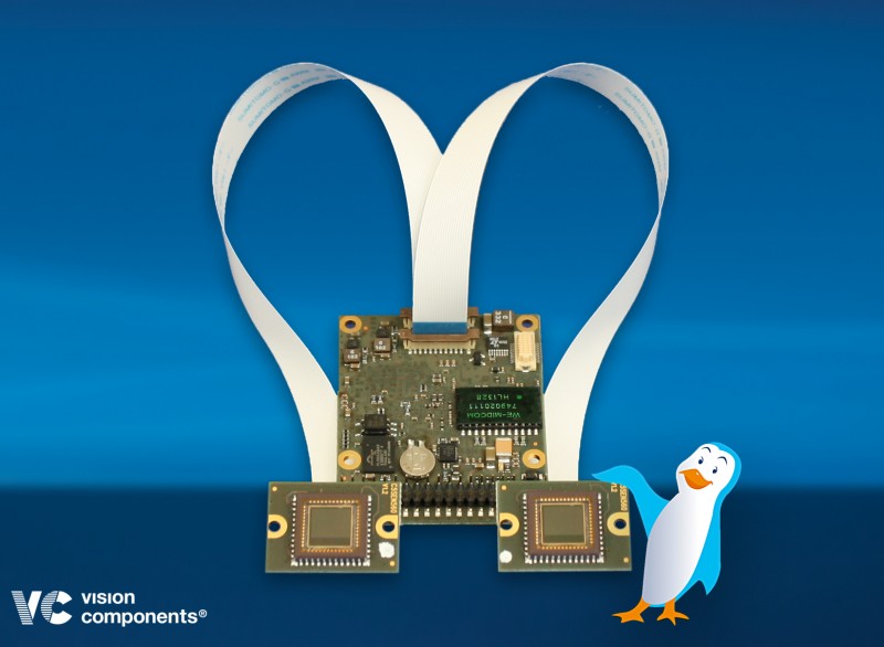 Two Sensors Get the Bigger Picture: High-Performance Smart Cameras for ...