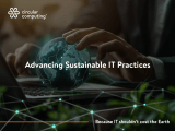 Advancing Sustainable It Practices