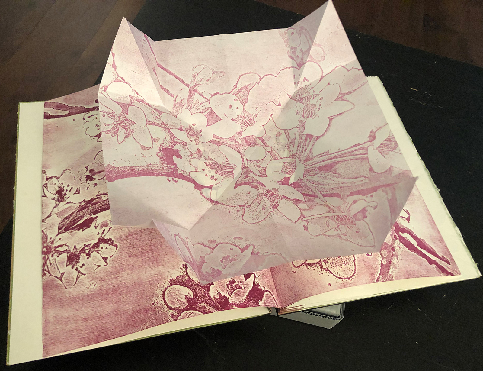 The Artist Book: Cover to Cover with Maria G. Pisano Part I ...