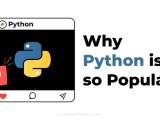 Top 10 Reasons Why Python Is So Popular In 2025