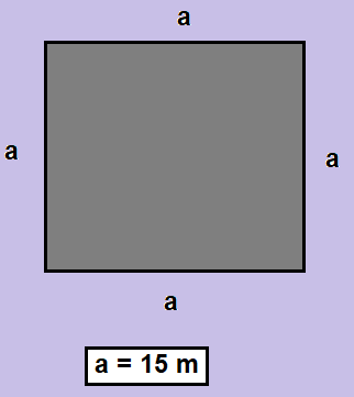 How to Calculate Area of land or Plot Which is Irregular in Shape