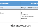 Immunology Complement System Class Notes