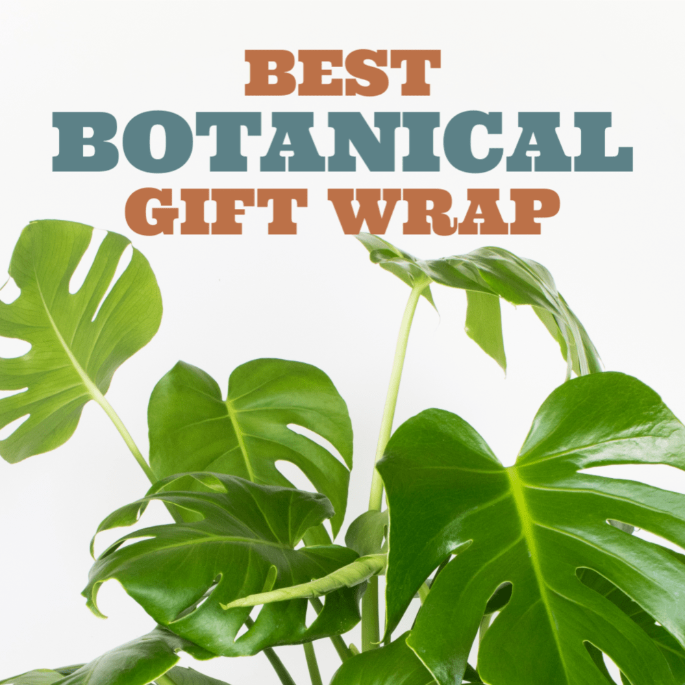 The Best Botanical Gift Wrap - Clever Bloom