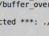 Buffer Overflow Attack Clickmouse