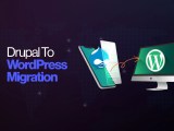 How To Migrate From Drupal To Wordpress Migration Guide