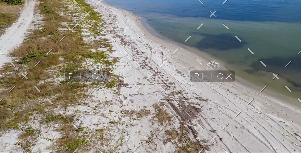 ss-149 – The Clinical Problem Solvers