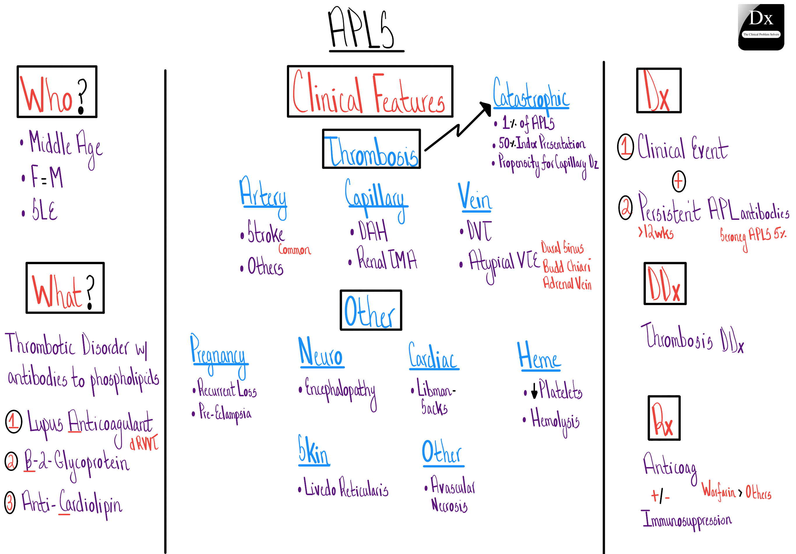 Antiphospholipid Syndrome – The Clinical Problem Solvers