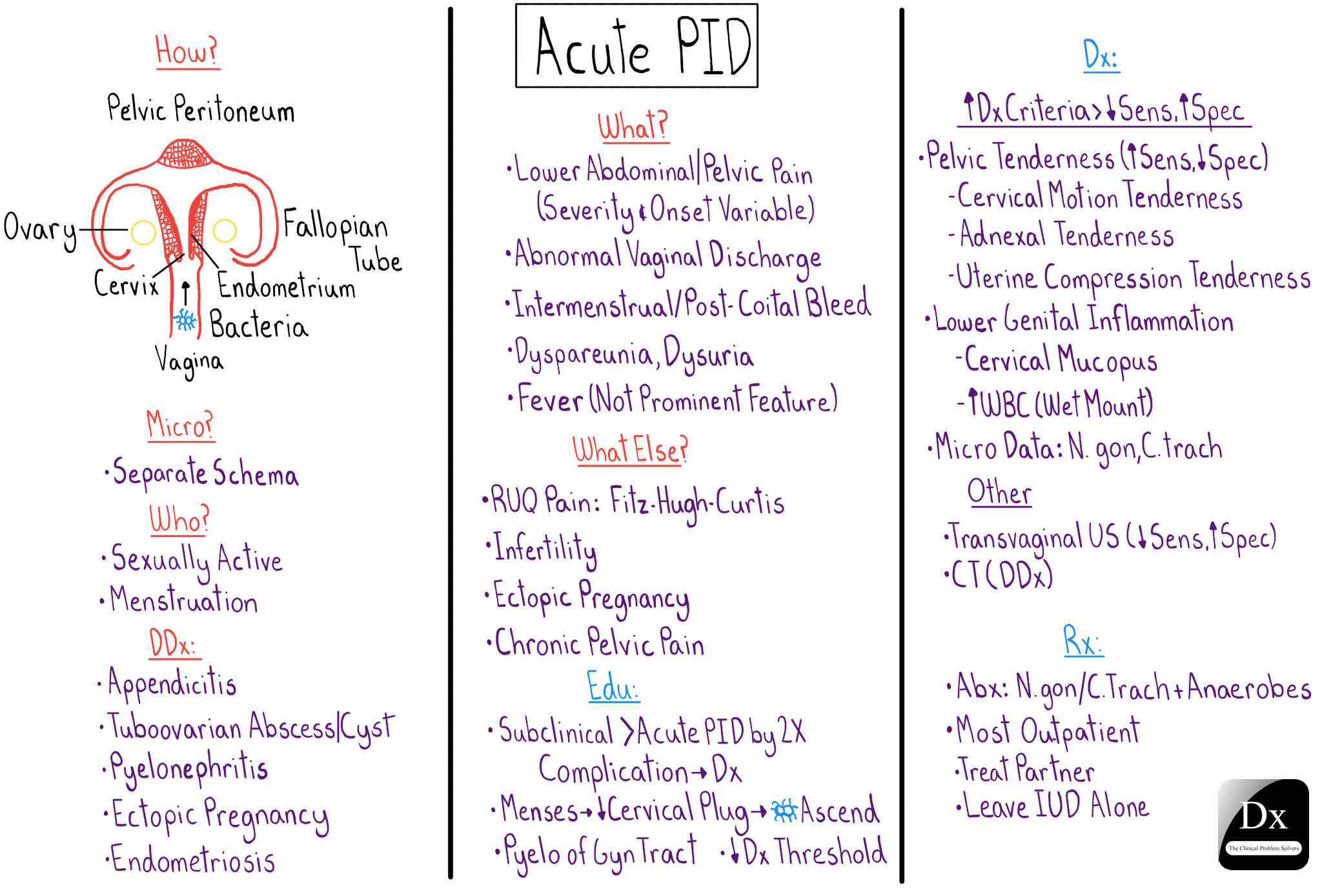 Pelvic Inflammatory Disease (PID) – The Clinical Problem Solvers