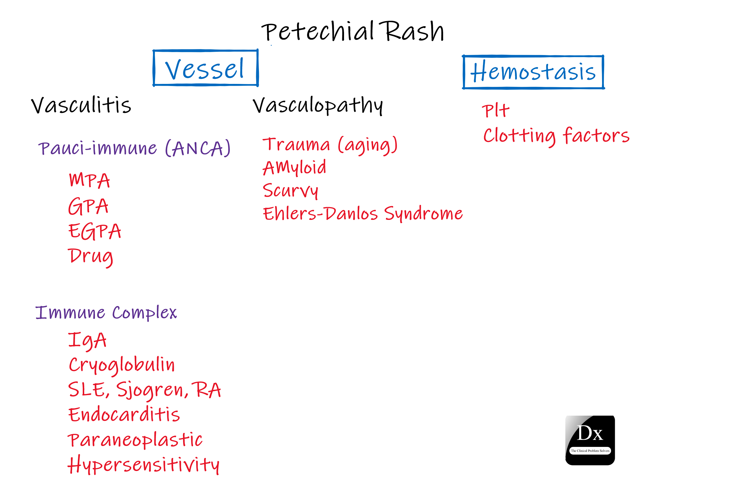 Petechial Rash – The Clinical Problem Solvers