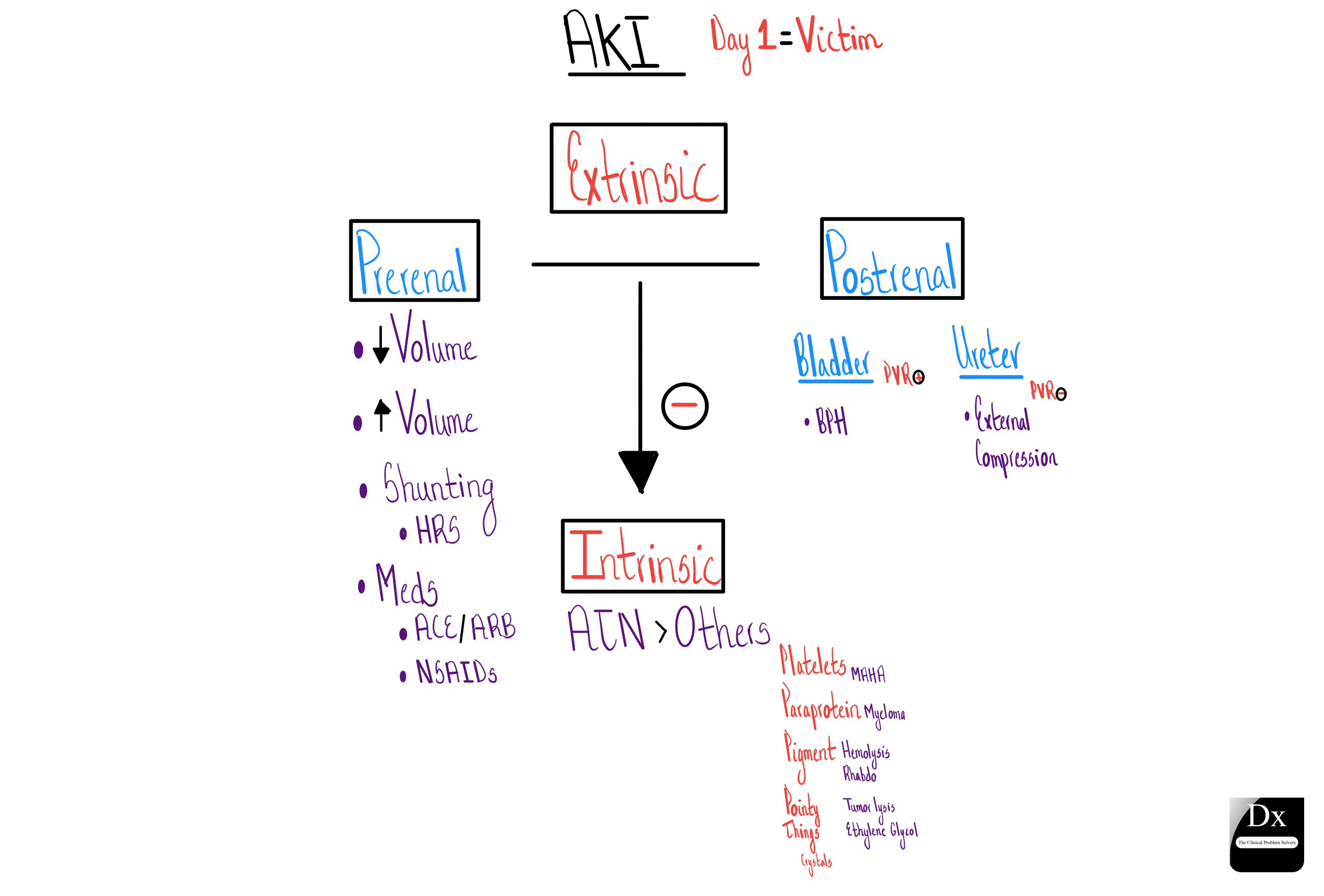 AKI Overview – The Clinical Problem Solvers