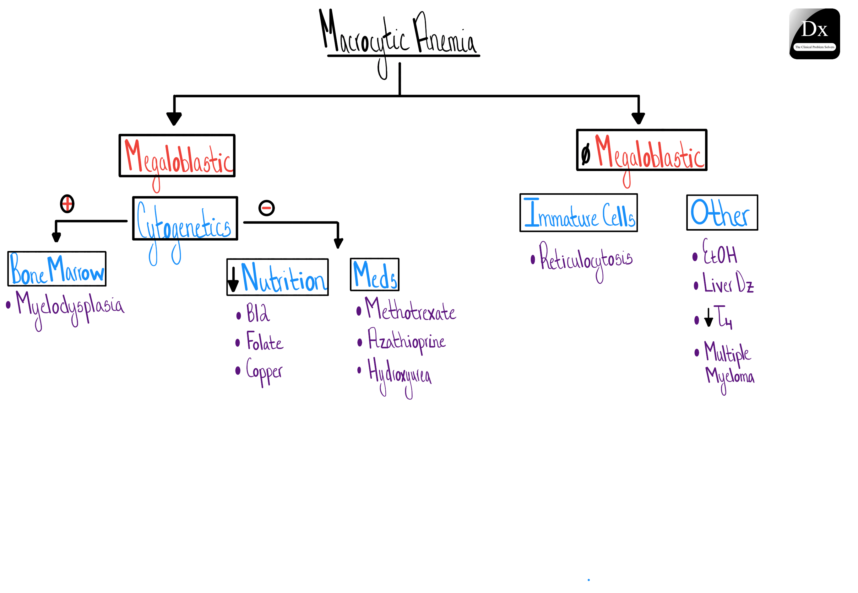 Macrocytic Anemia – The Clinical Problem Solvers