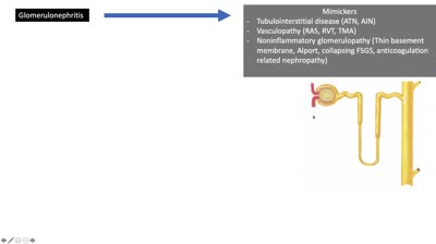 gn-schema_final-mov – The Clinical Problem Solvers