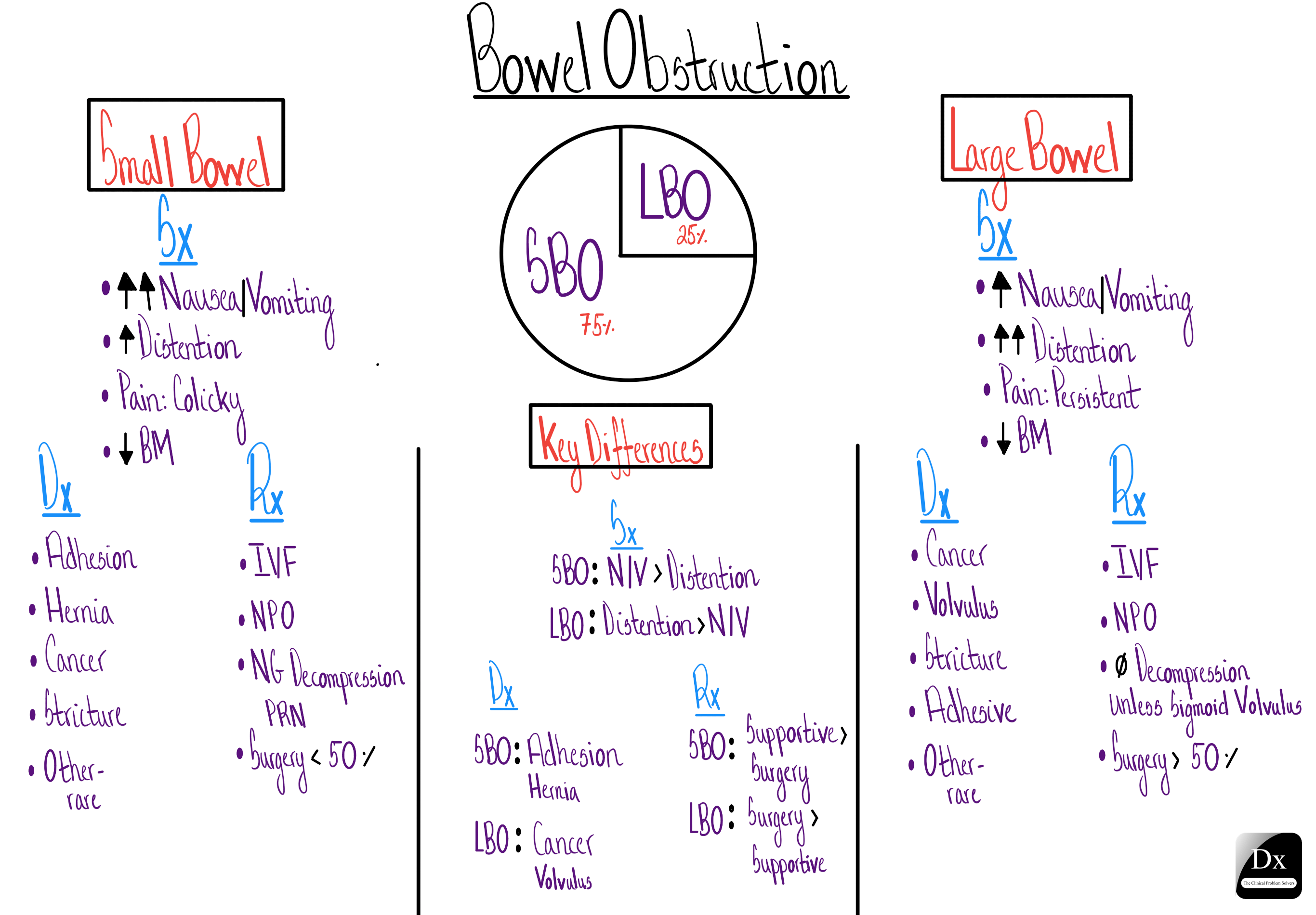 Bowel Obstruction Overview Final – The Clinical Problem Solvers