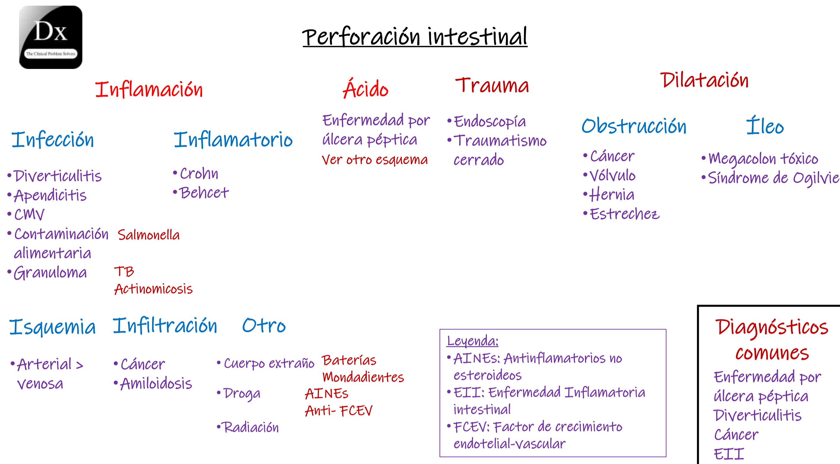 Perforación Intestinal – The Clinical Problem Solvers