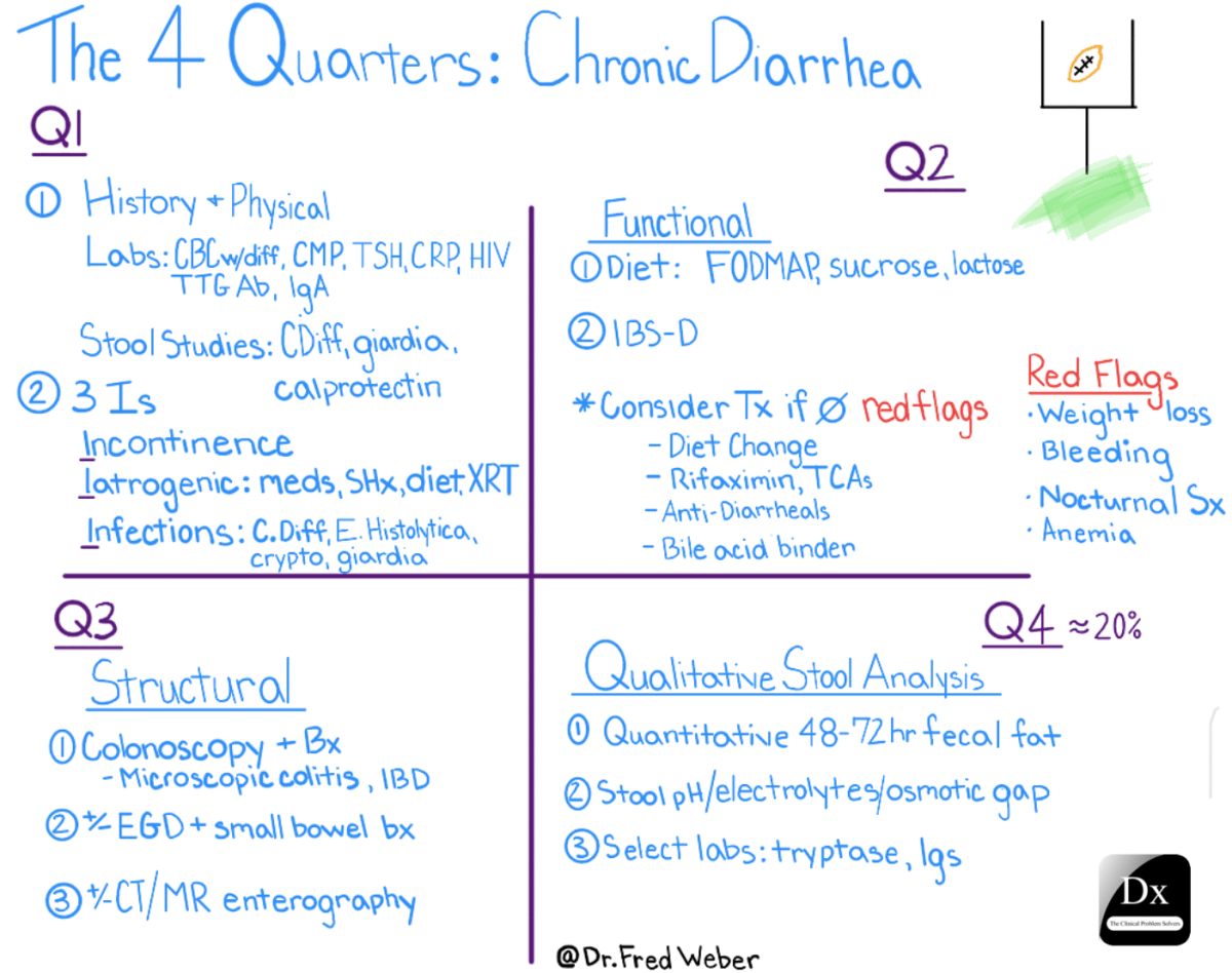 Chronic Diarrhea – 4 Quarters Approach – The Clinical Problem Solvers