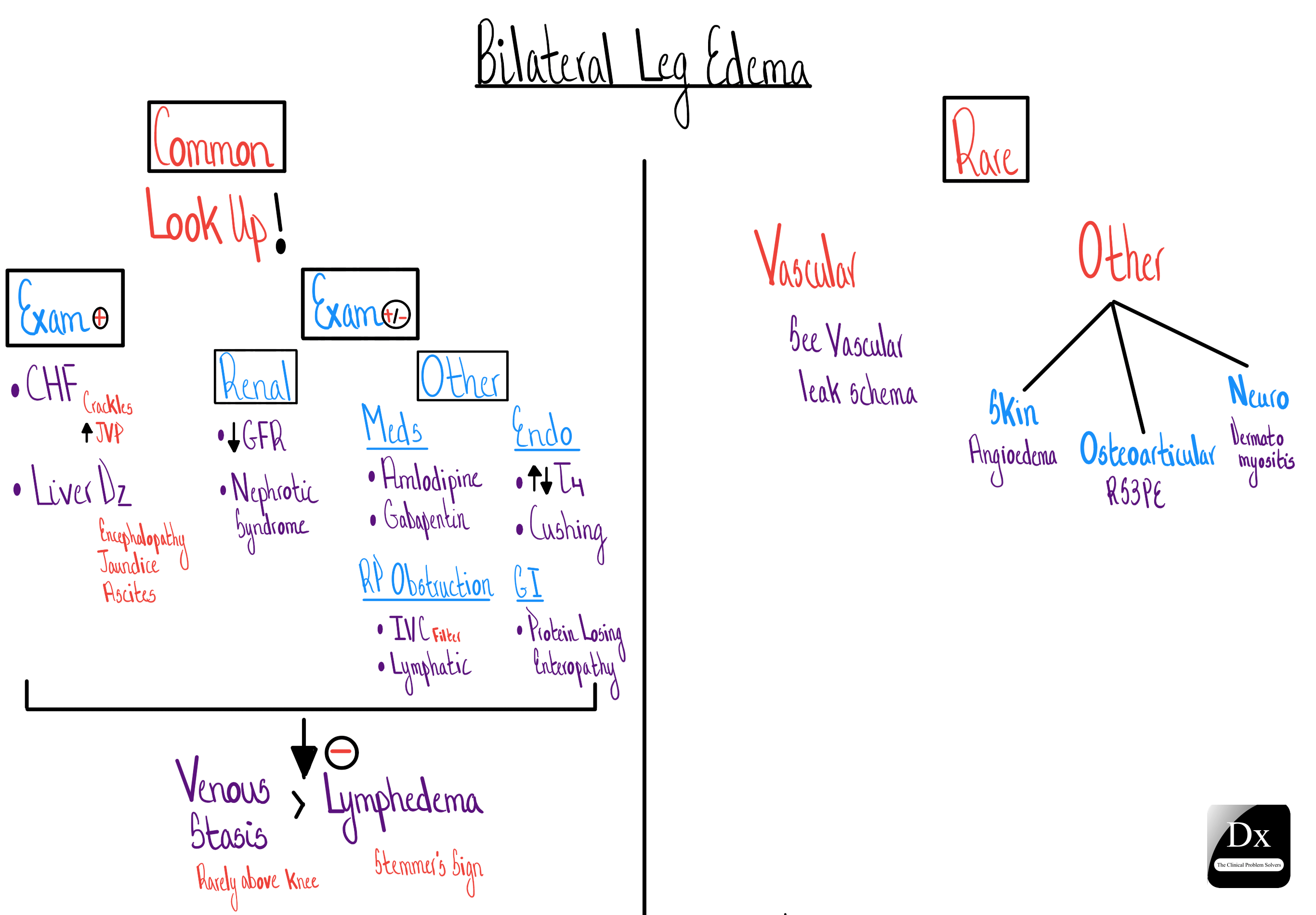 Peripheral Edema – The Clinical Problem Solvers
