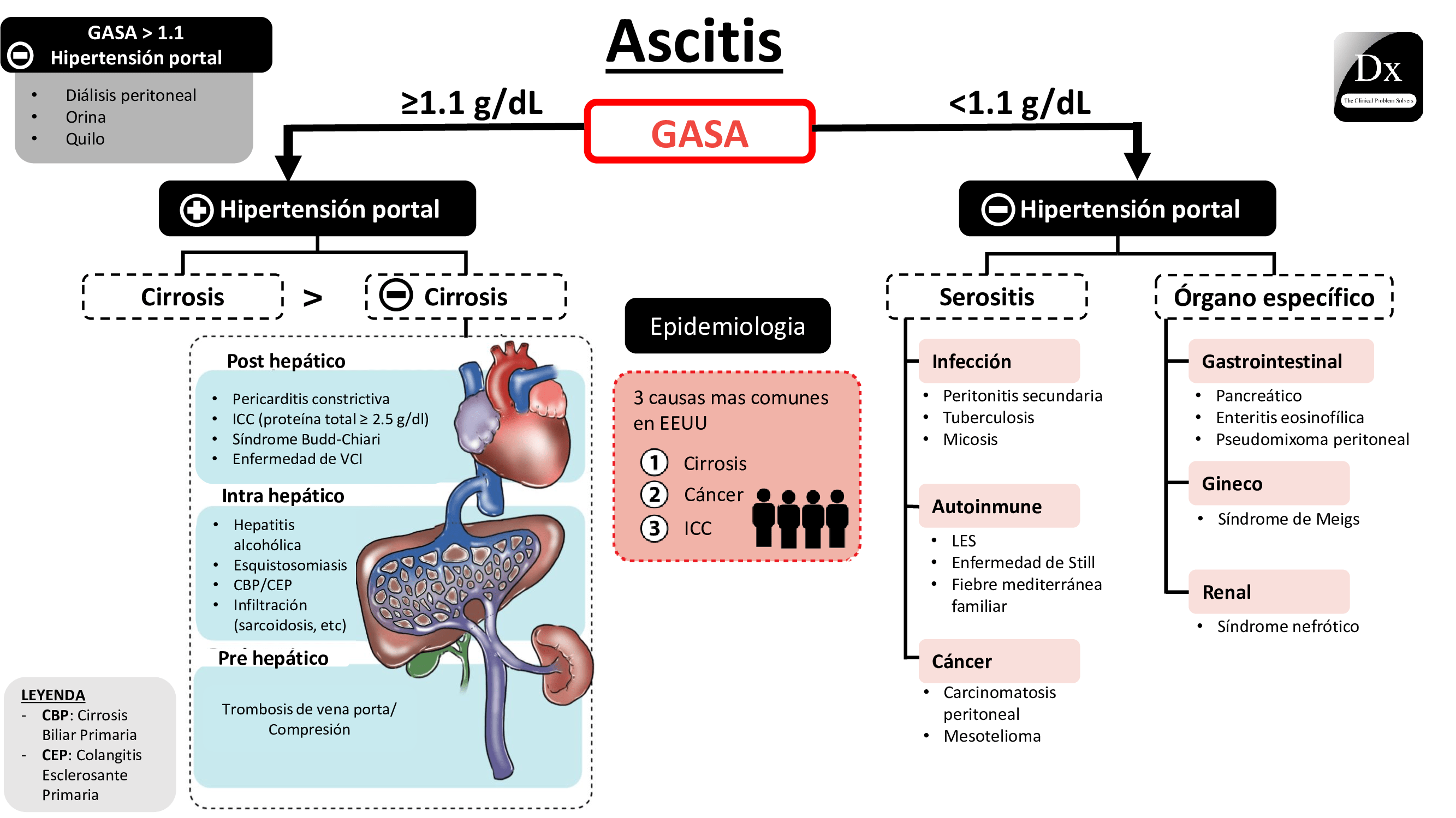 Ascitis – The Clinical Problem Solvers