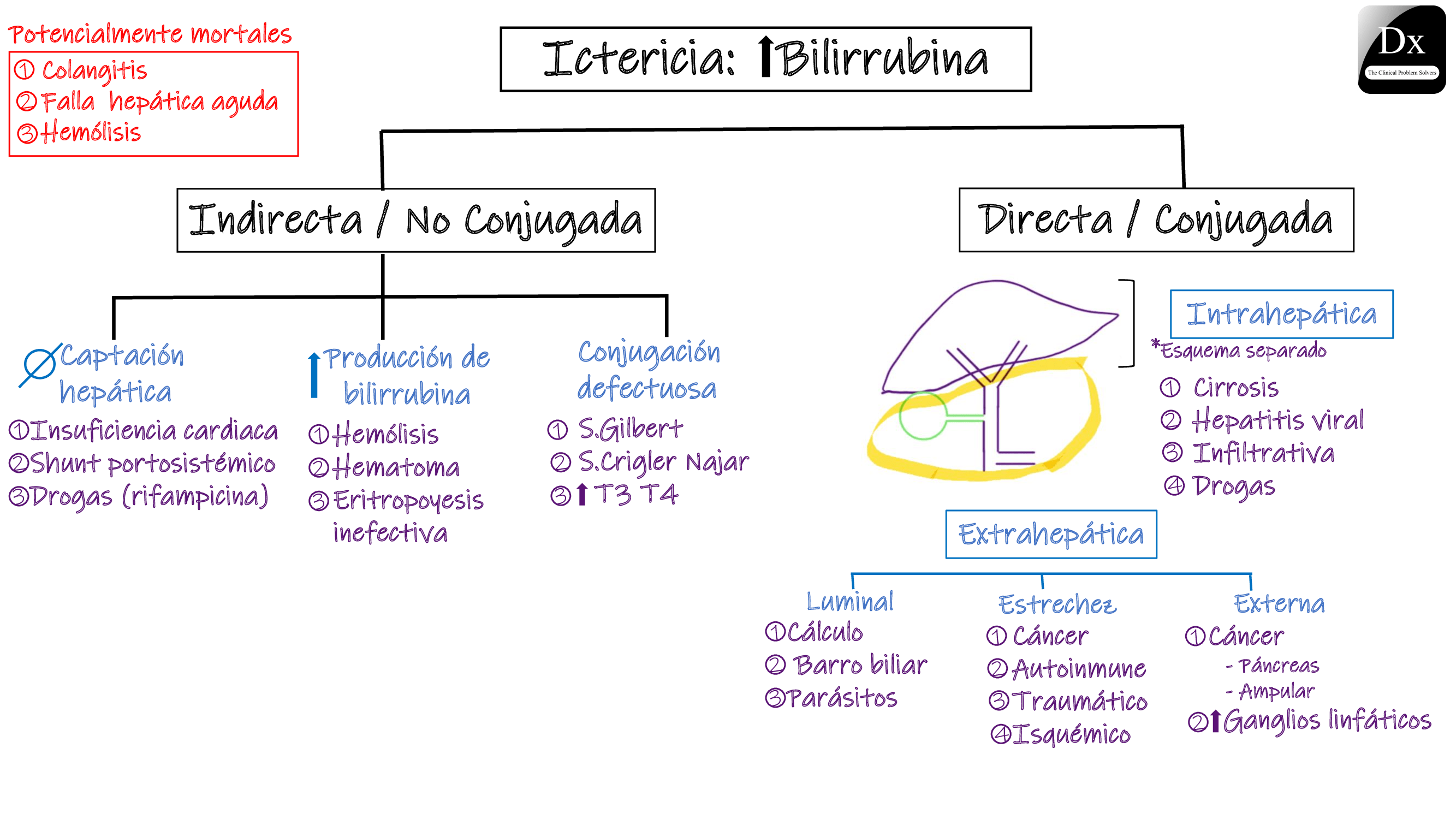 Ictericia – The Clinical Problem Solvers