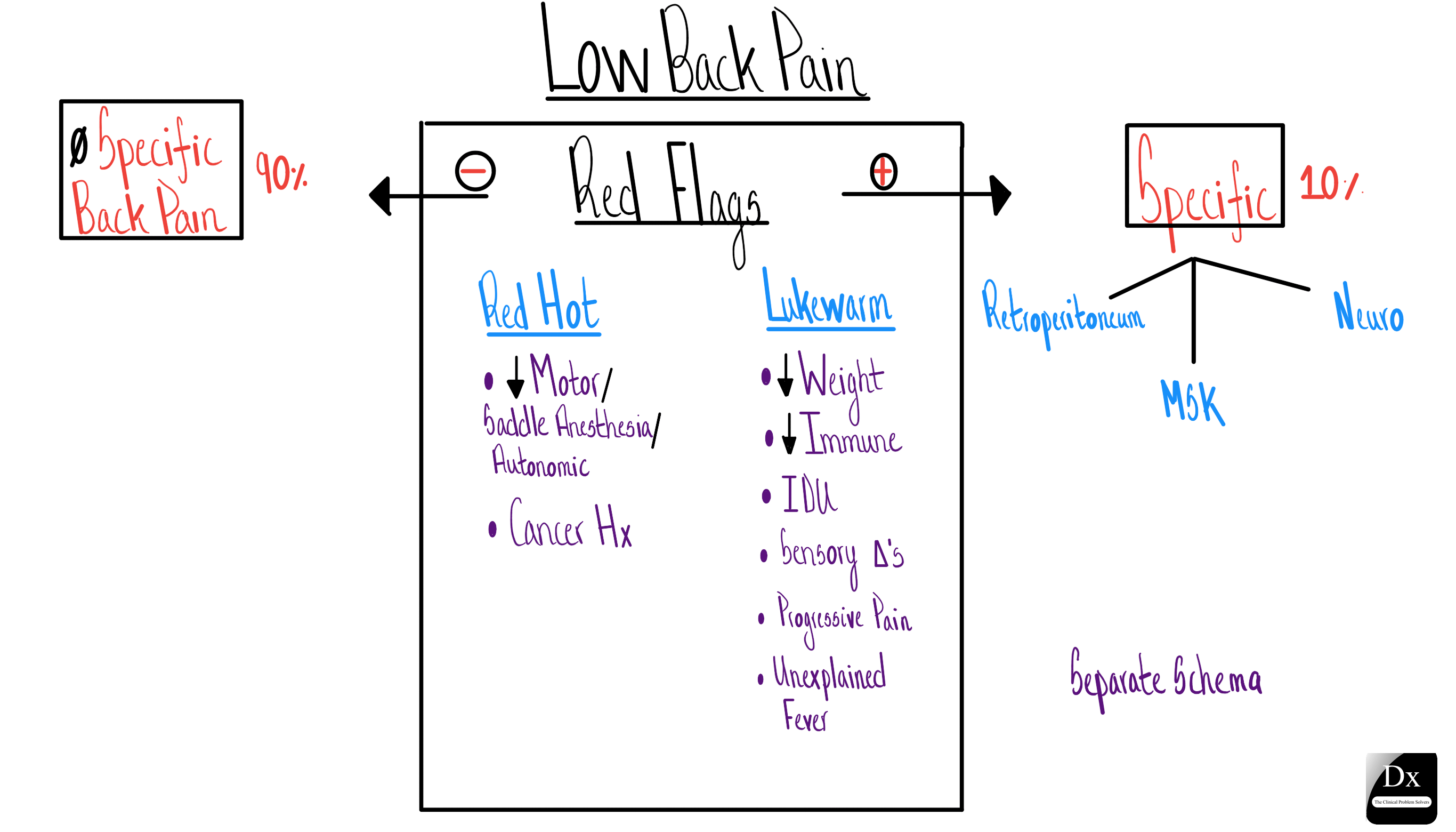 Dx Schema – Low Back Pain Overview – The Clinical Problem Solvers