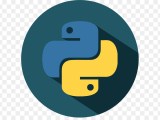 Python Logo Png Transparent