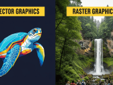 What Is The Difference Between Raster And Vector Images